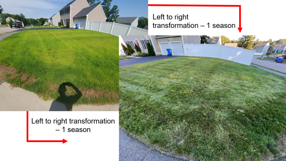 See how fertilizing can help a struggling lawn grow into healthy turf ...