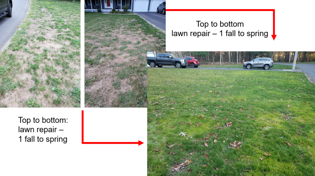 Help repair your lawn with a lawn fertilizing program | GreenAce Lawn ...
